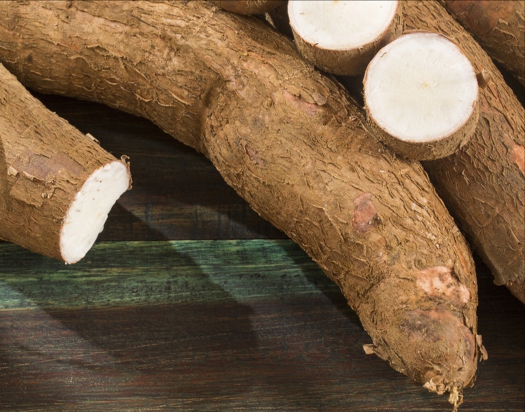 Tapioca under harvest for sale at KANAKAPURA, Bangalore Rural |Tapioca